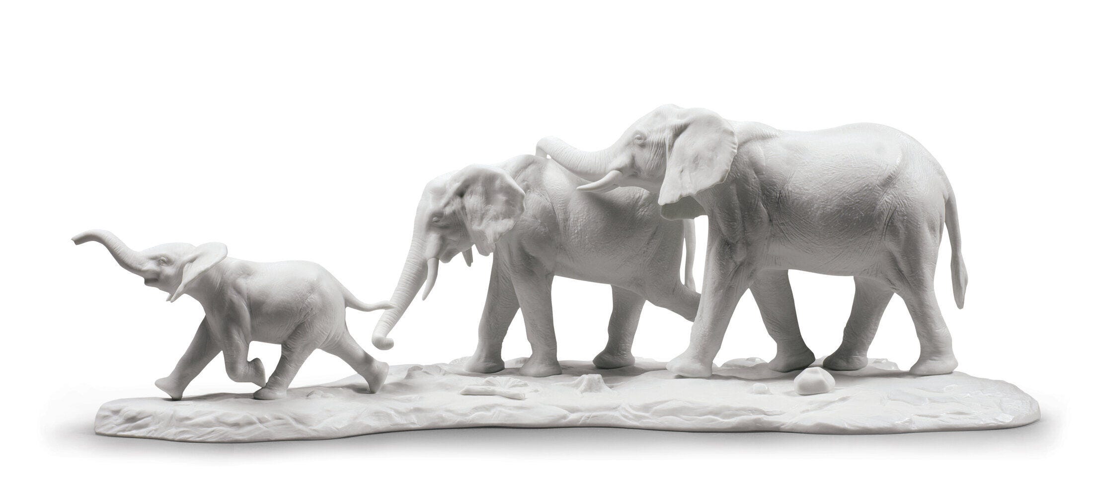 elephants steps